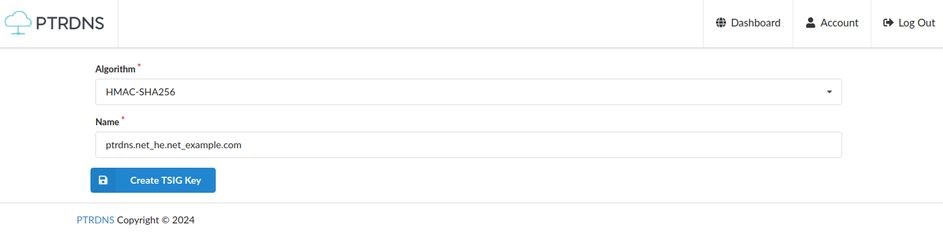 What is Primary DNS?